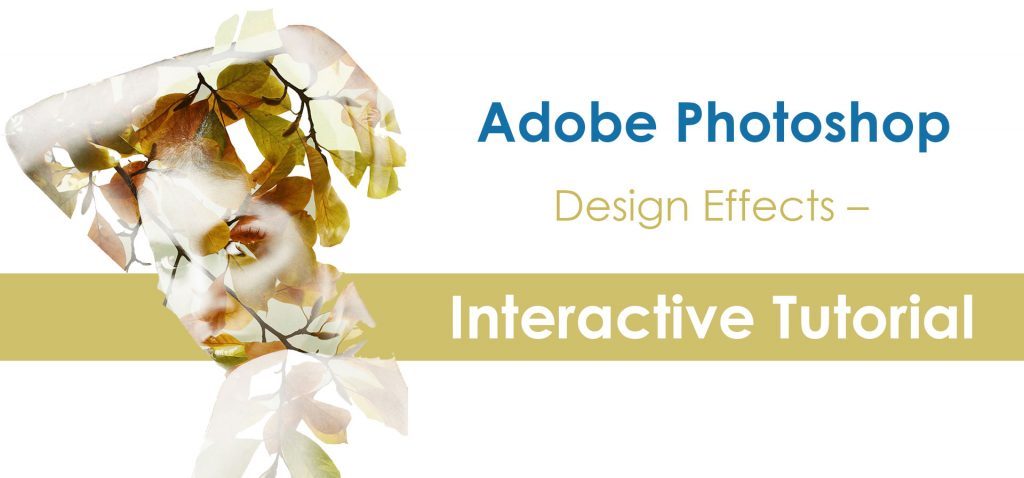 Photography Archives | Page 7 of 7 | Color Experts International