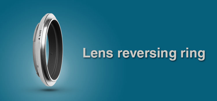 Macro Photography Gears, Accessories, Equipments, and Essentials