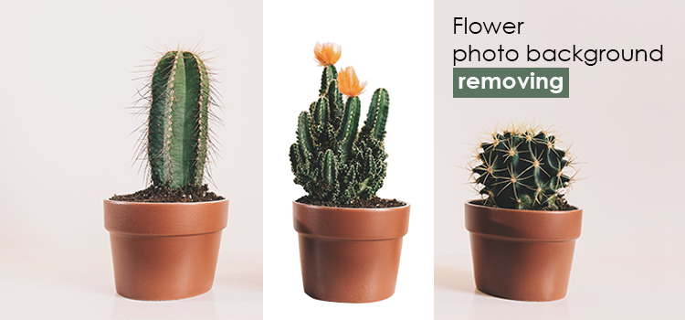Flower Photo Editing & Retouching for the ecommerce flower sellers
